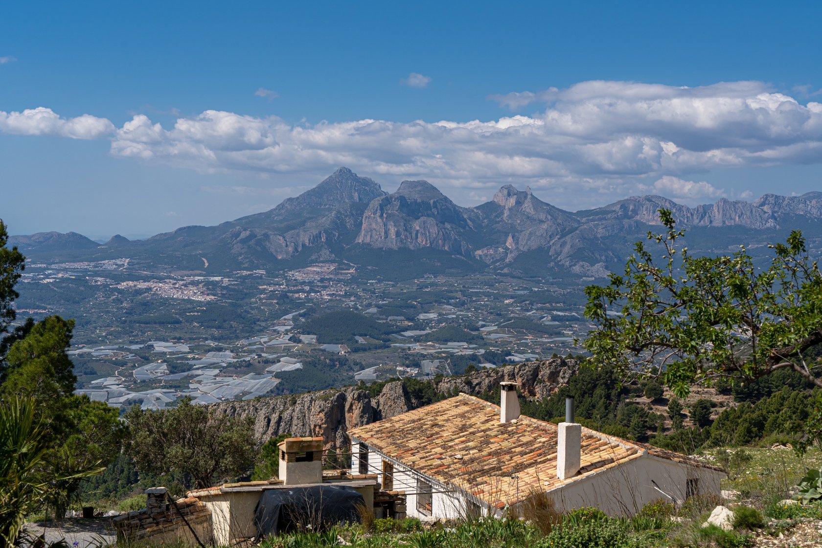 Gecko House Altea